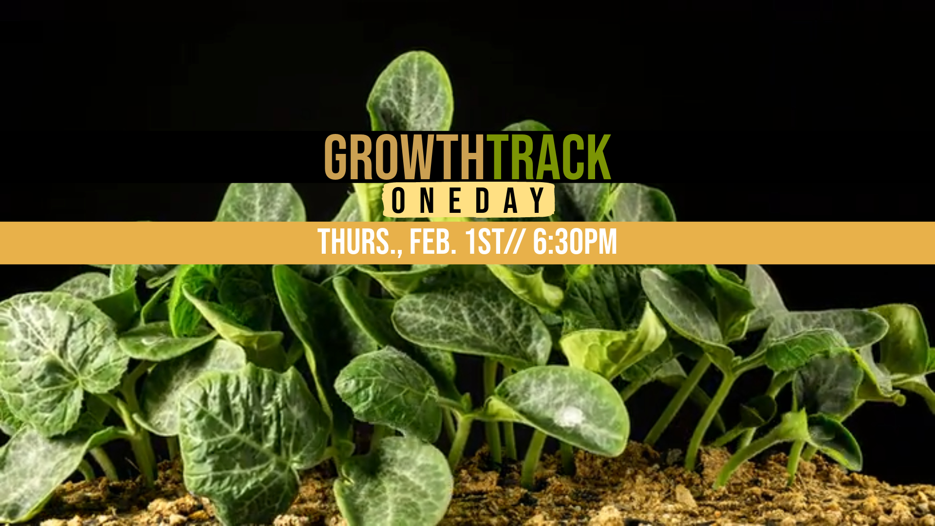 Spectrum Church // Chula Vista, CA // Pastors Gary & Kimberly Isbell